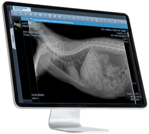 Vet PACS | INFINITT - infinitteurope