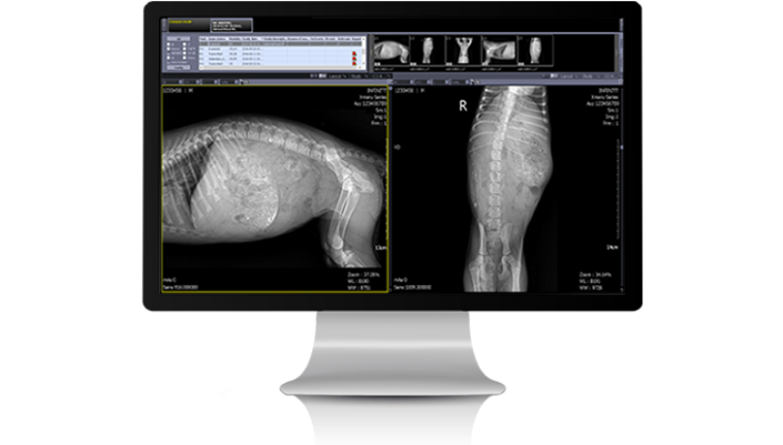 Vet PACS | INFINITT - infinitteurope